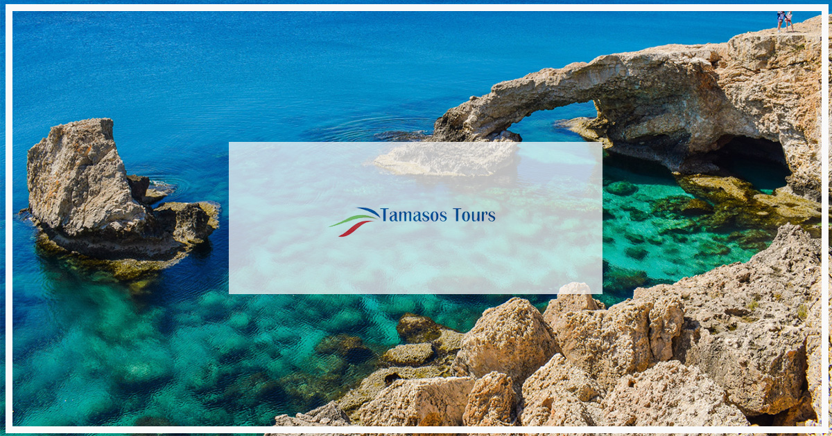 Homepage - Tamasos Tours